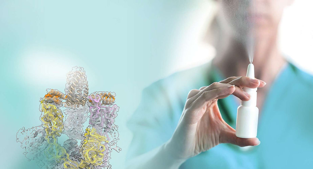 Nose spray vaccines could quash COVID virus variants