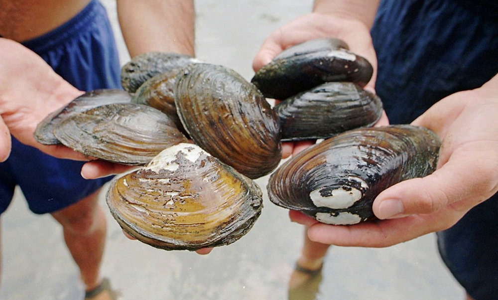 Surprising and disturbing