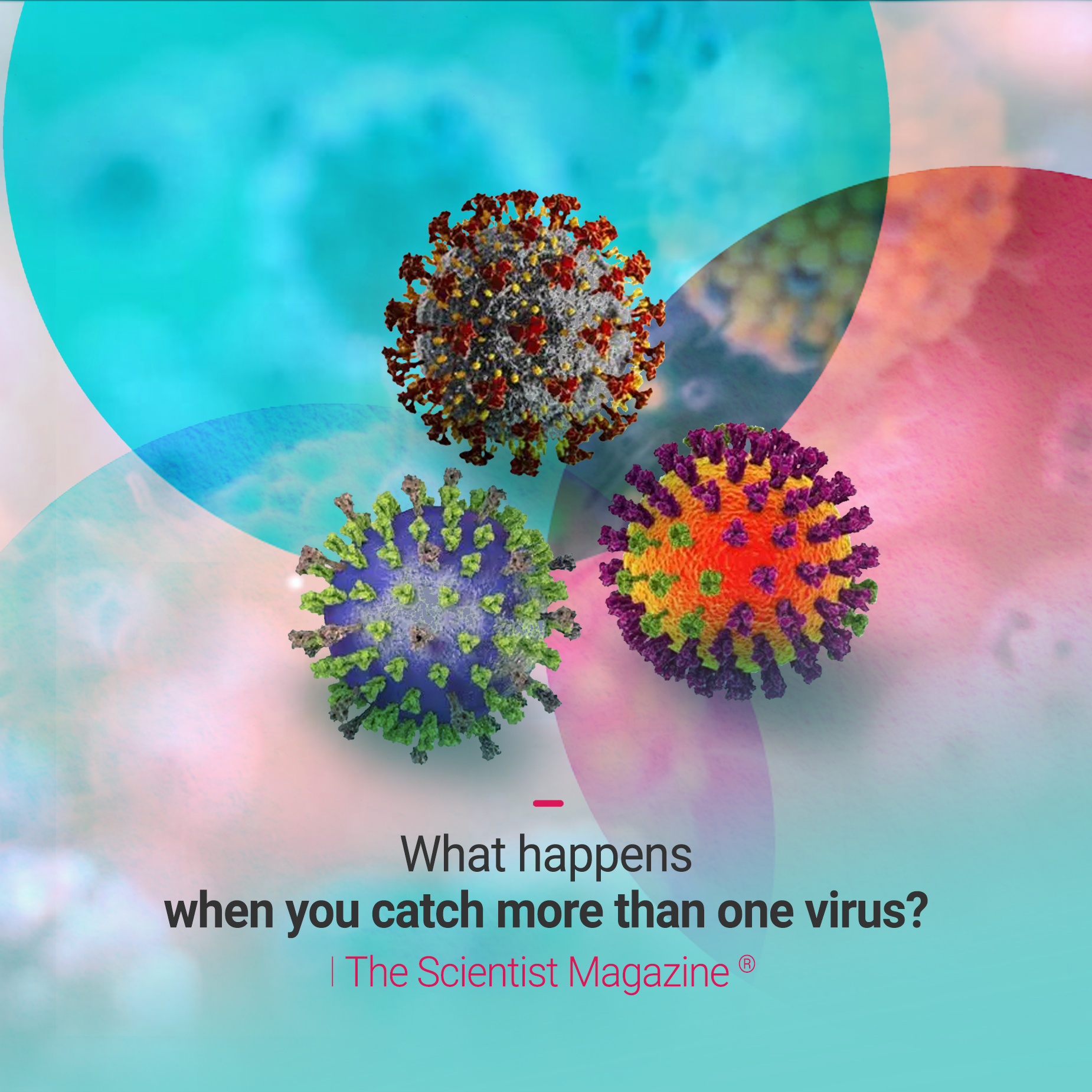 What happens when you catch more than one virus?
