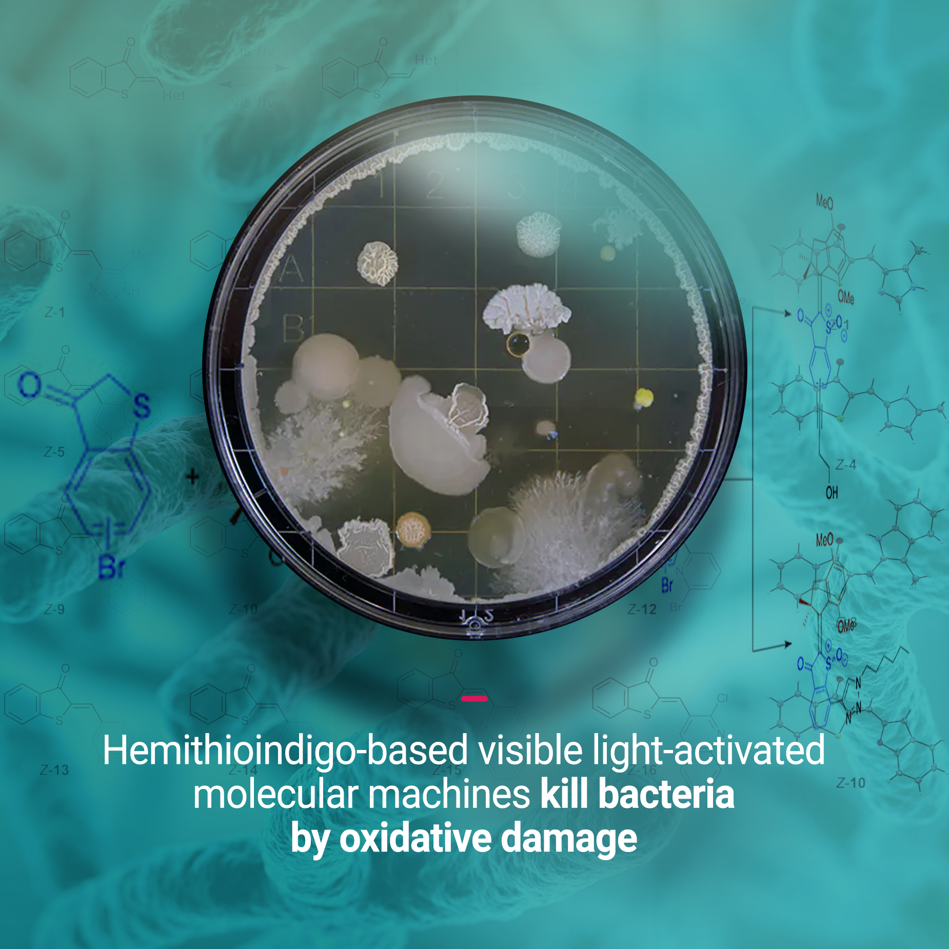 Hemithioindigo-based molecular machines kill bacteria by oxidative damage